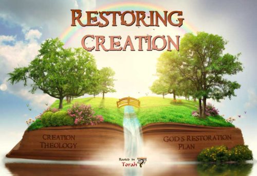 Restoring-Creation – Ryan White Online